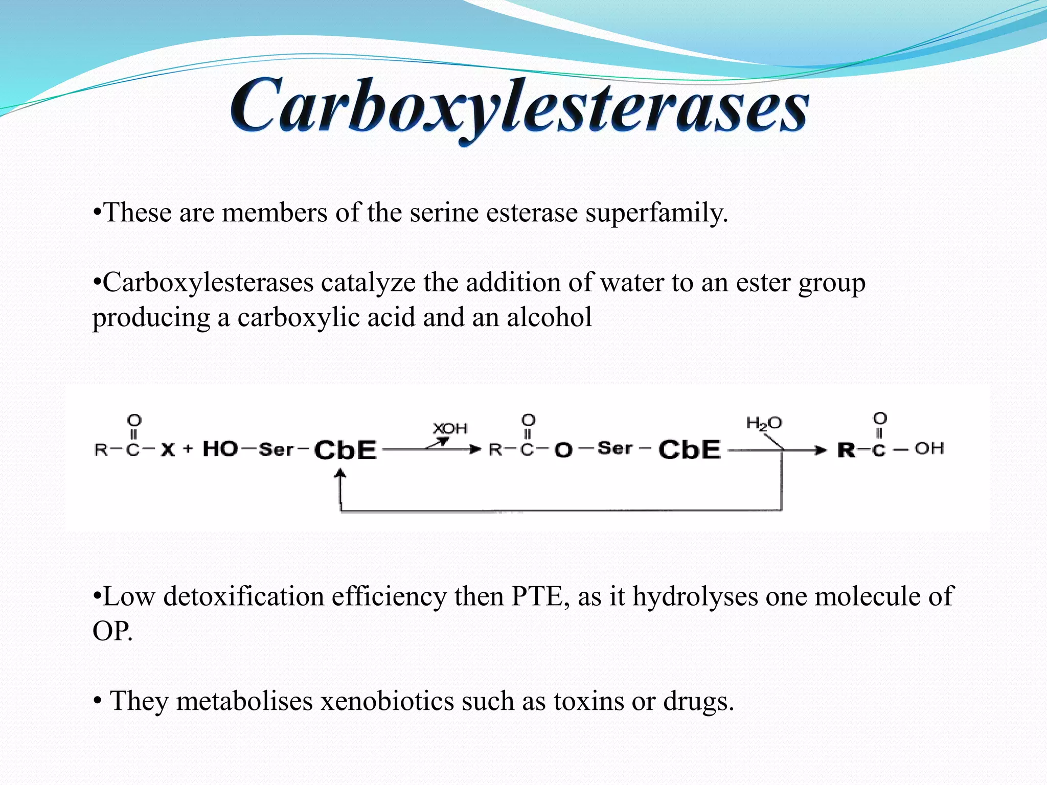 enzyme as detoxifying agent in insecticide industry | PPTX