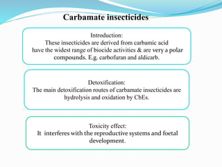 enzyme as detoxifying agent in insecticide industry | PPT