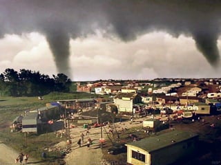 Sec 2 Exp - Managing Our Changing Environment | PPT | Environment | Science