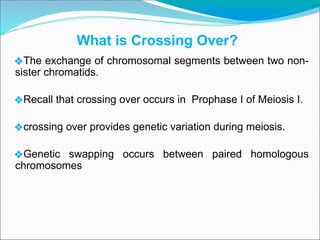 Sec.1-Crossing Over..... and Mapping.pptx | Free Download