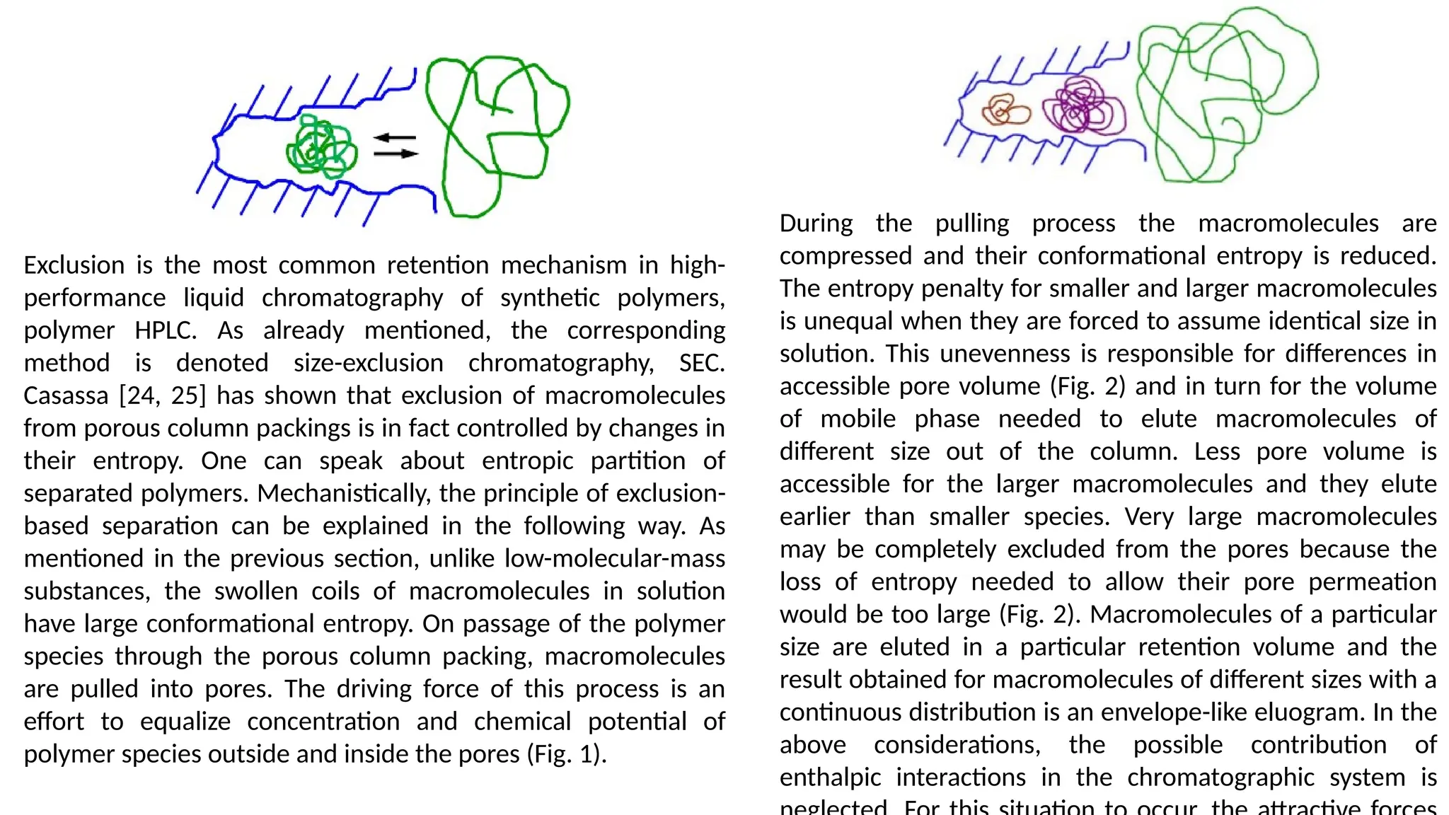 Thermodynamics of SEC chromatography. pptx | PPTX