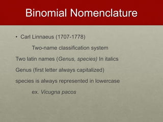 San Pedro Biology review | PPT