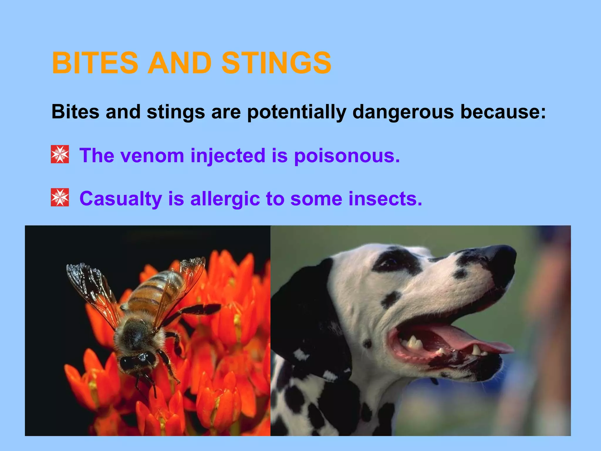 Sec1.fa10 bites and stings | PPT