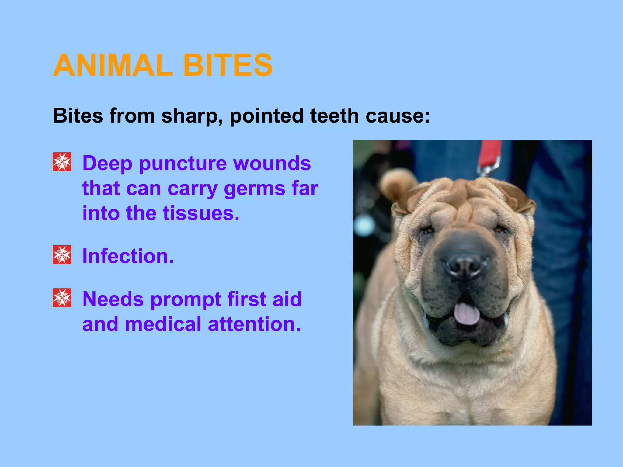 Sec1.fa10 bites and stings | PPT