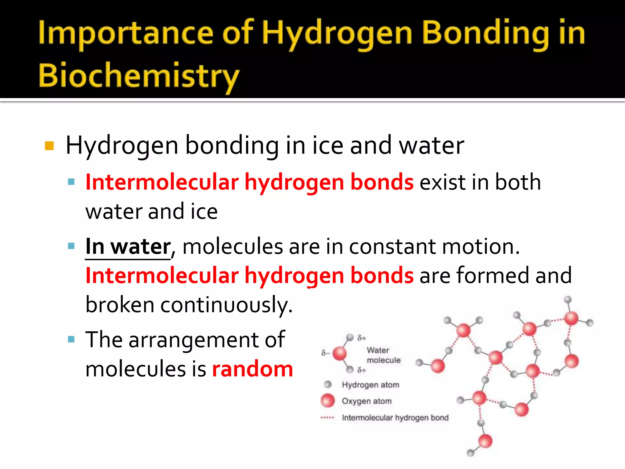 Hydrogen Bonding Powerpoint | PPTX