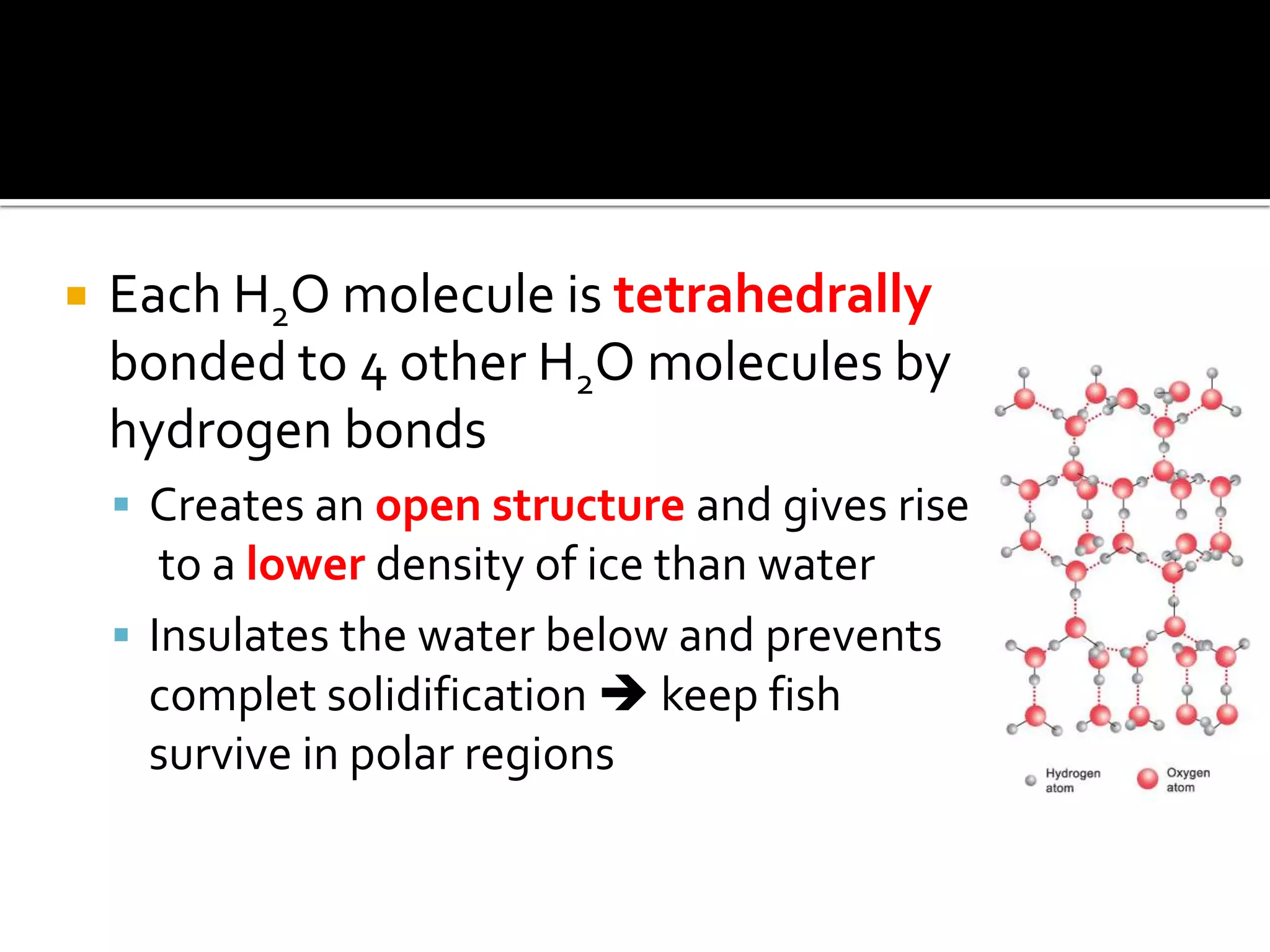 Hydrogen Bonding Powerpoint | PPTX