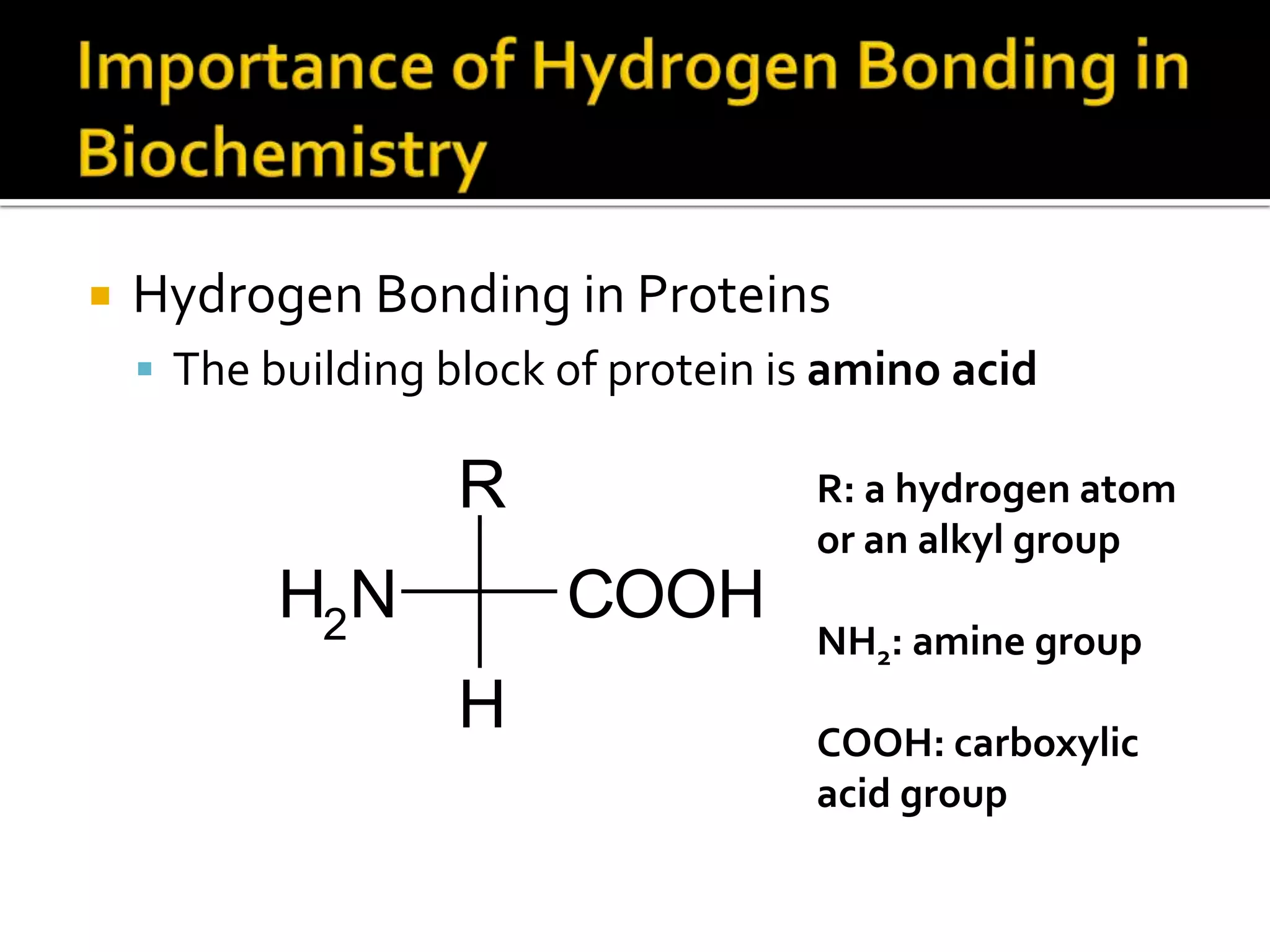 Hydrogen Bonding Powerpoint | PPTX