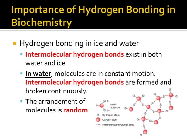 Hydrogen Bonding Powerpoint | PPTX | Chemistry | Science