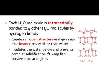 Hydrogen Bonding Powerpoint | PPTX