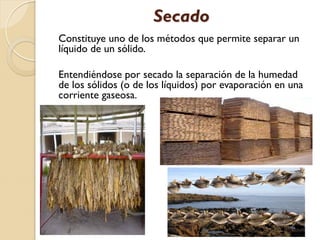 Secado.pdf