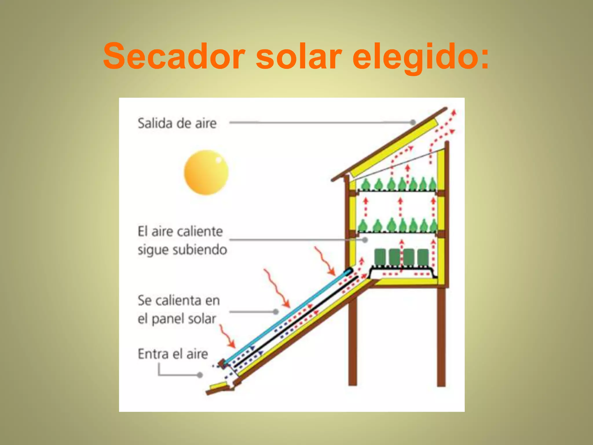 Secador solar | PPT