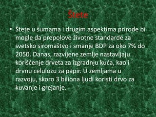 Seca suma (deforestacija) ošti, mijatović i ćalić | PPTX