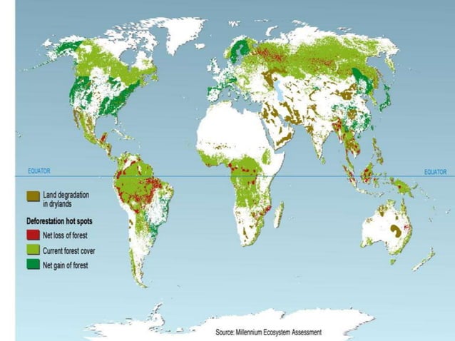 Seca suma (deforestacija) ošti, mijatović i ćalić | PPTX