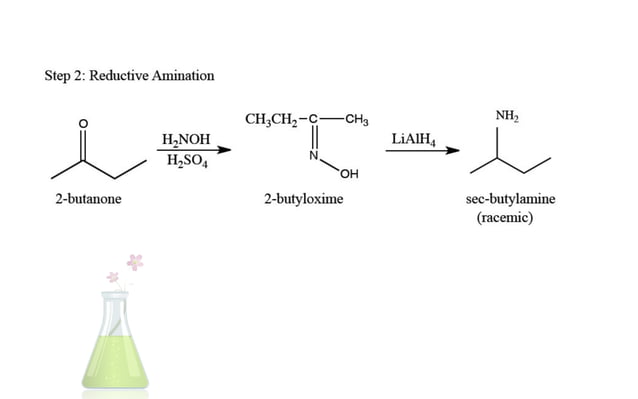 Sec-butylamine Synthesis and Analysis | PPT
