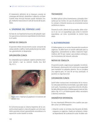 Sección 3. párpados, conjuntiva y esclera | PDF