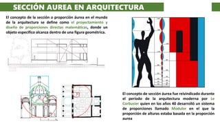 Seccion Aurea Pdf