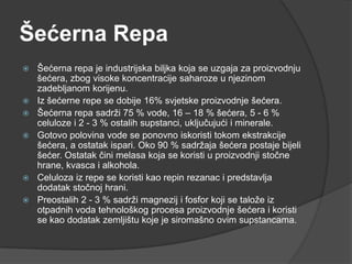 Secerna repa 2007 power point | PPTX