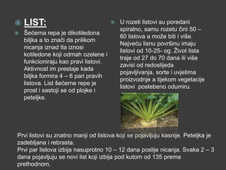 Secerna repa 2007 power point | PPTX