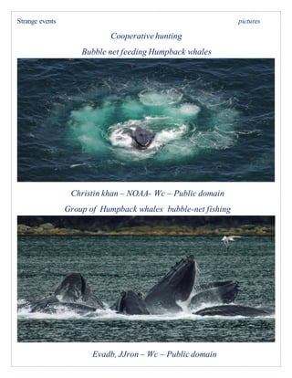 Strange events in bio world chapter 12 pictures | DOCX | Birdwatching ...