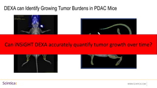 (March 14, 2024) Webinar: Validation of DEXA for Longitudinal ...