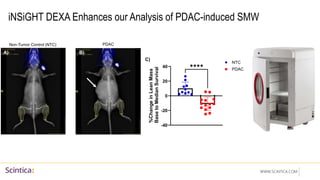 (March 14, 2024) Webinar: Validation of DEXA for Longitudinal Quantification of Tumor Burden in ...