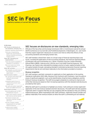 SEC in Focus - January 2019 | PDF