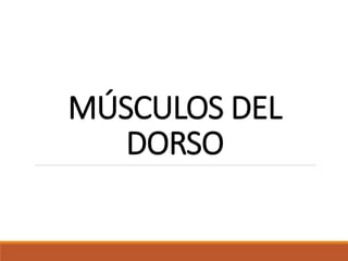 Anatomía dorso muscular secme-6668_2.pptx