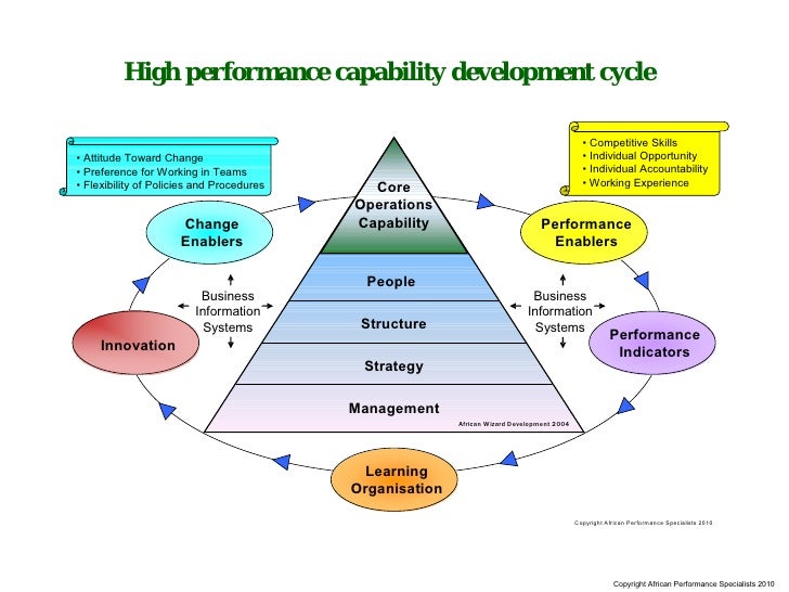 Strategy Execution Diagnostics and Capability Development