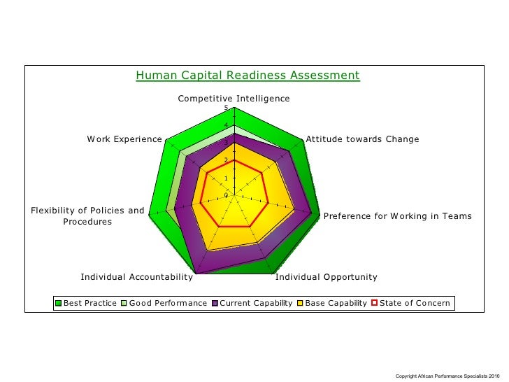 Strategy Execution Diagnostics and Capability Development