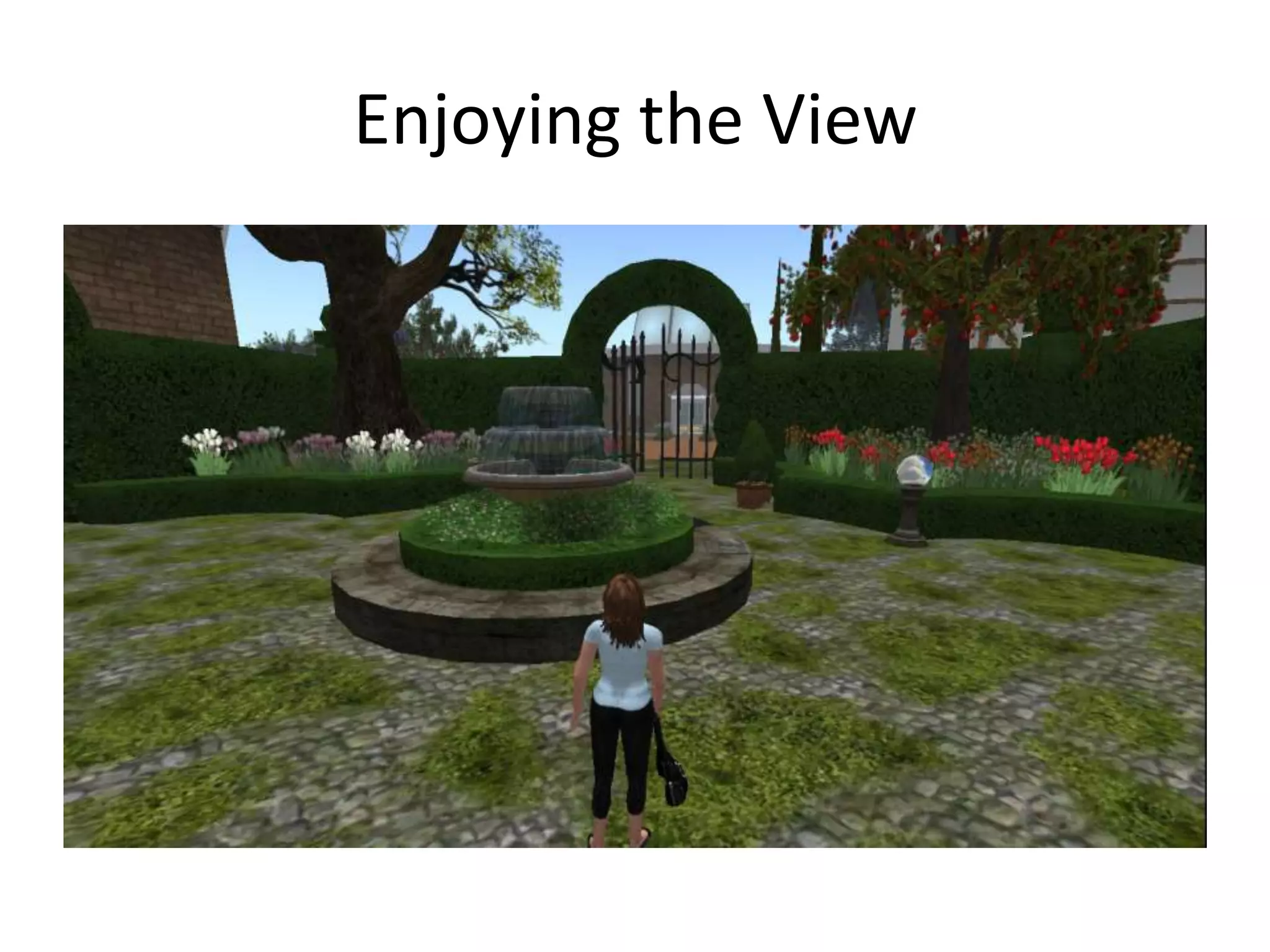 Second life start up assign | PPT