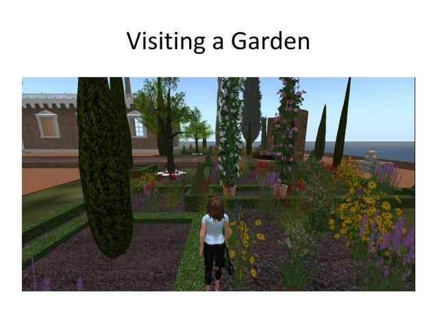 Second life start up assign | PPT