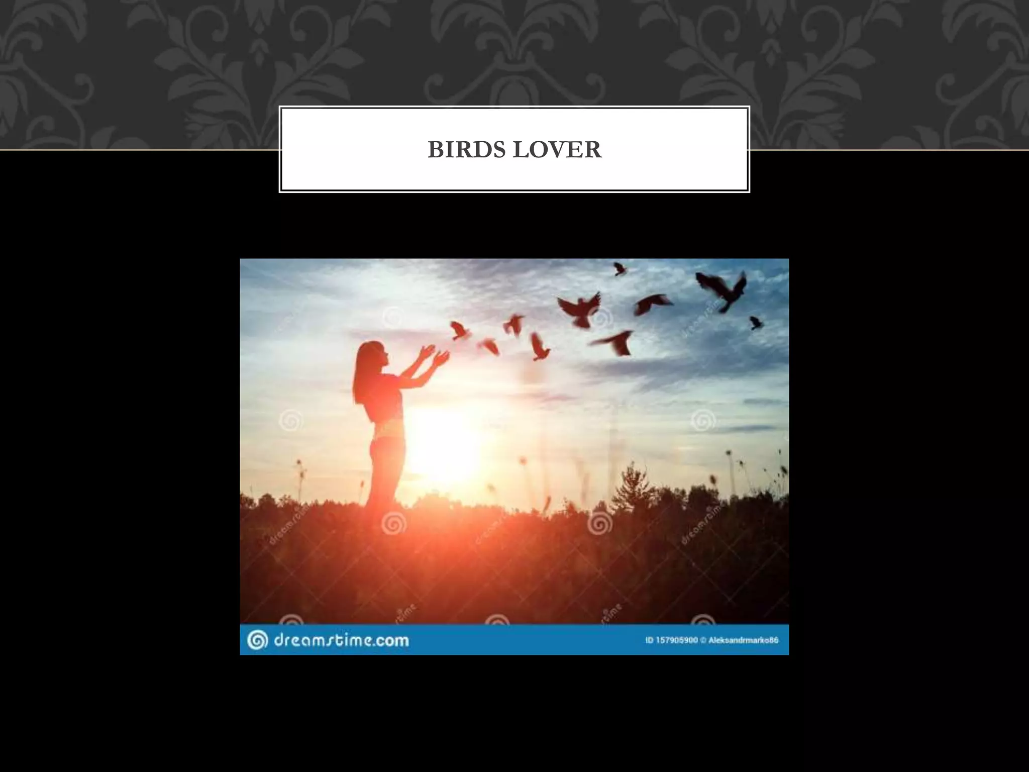 BIRD | PPT