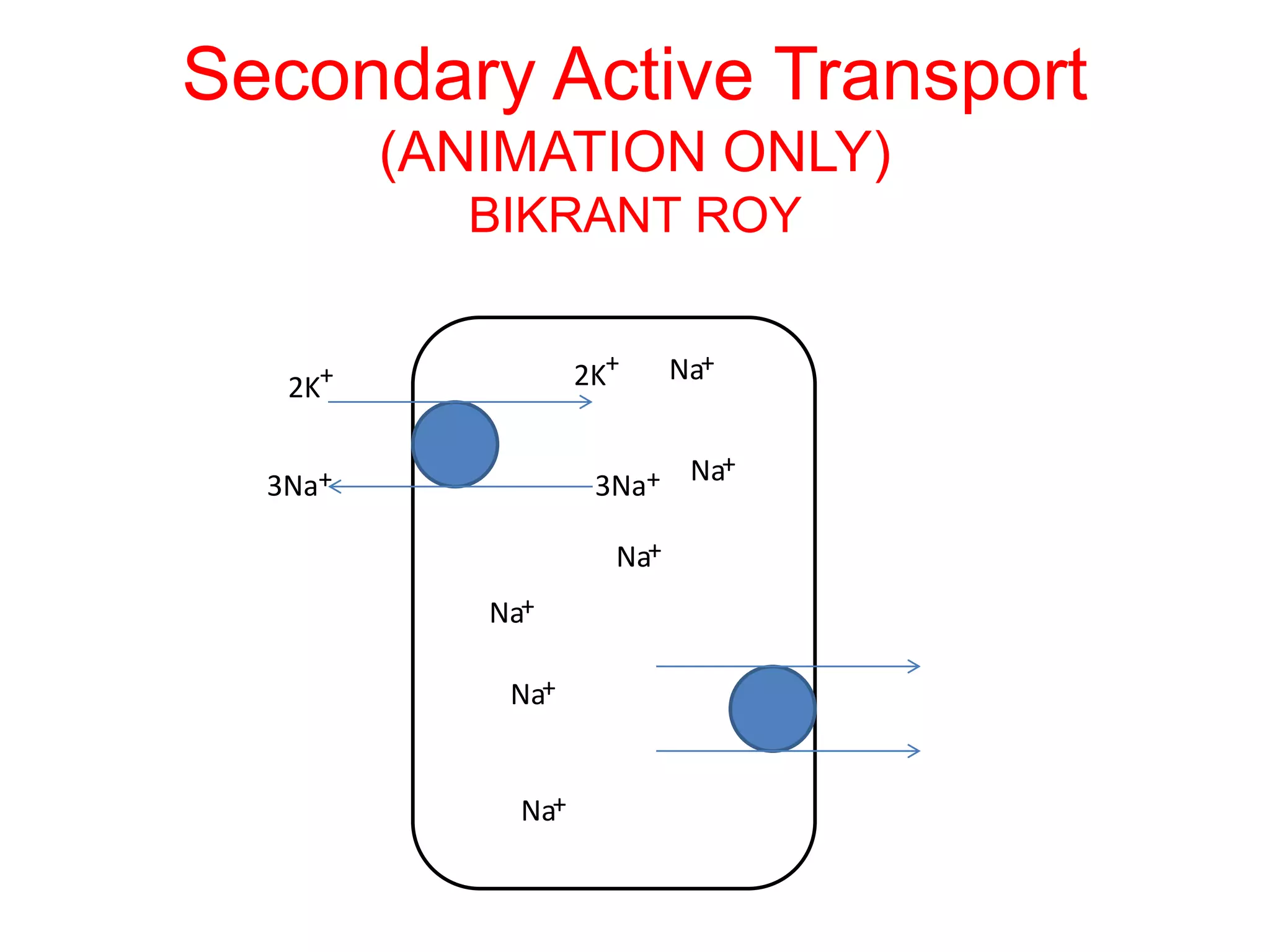 Secondary Active Transport (ANIMATION ONLY) | PPT