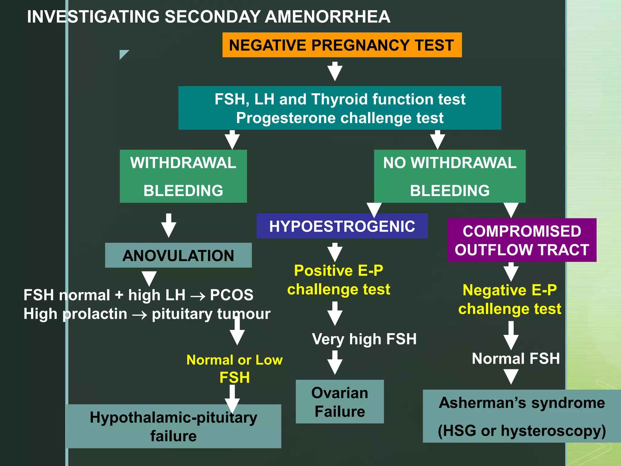 secondary amenorrhoea lectures.ppt