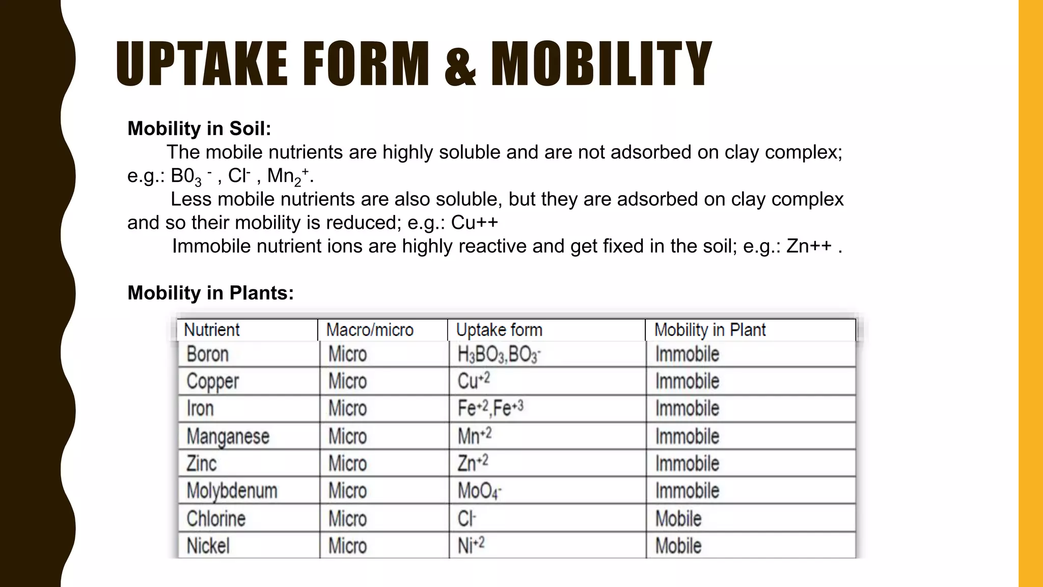 Secondary and micronutrients forms,availability and dynamics | PPTX