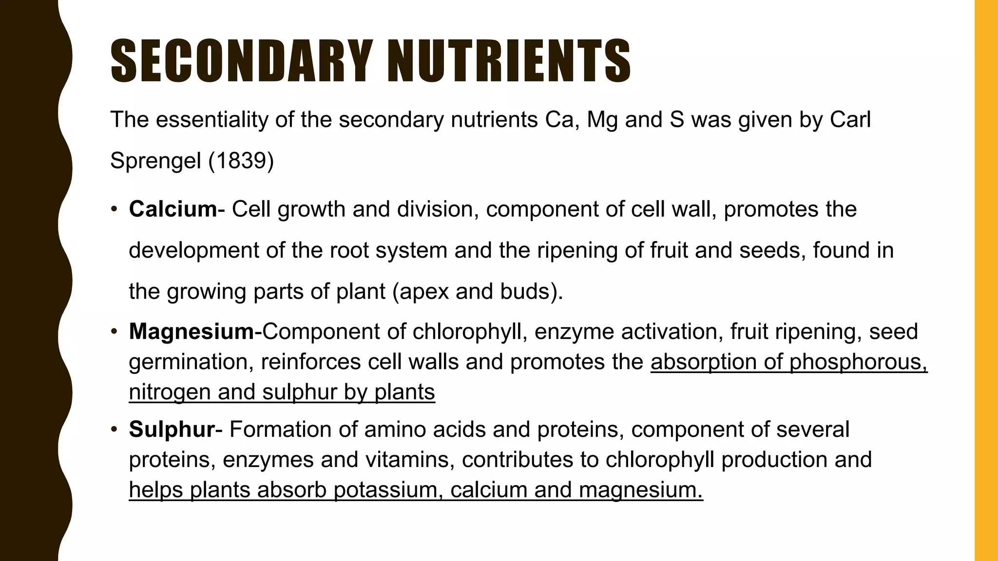 Secondary and micronutrients forms,availability and dynamics | PPTX
