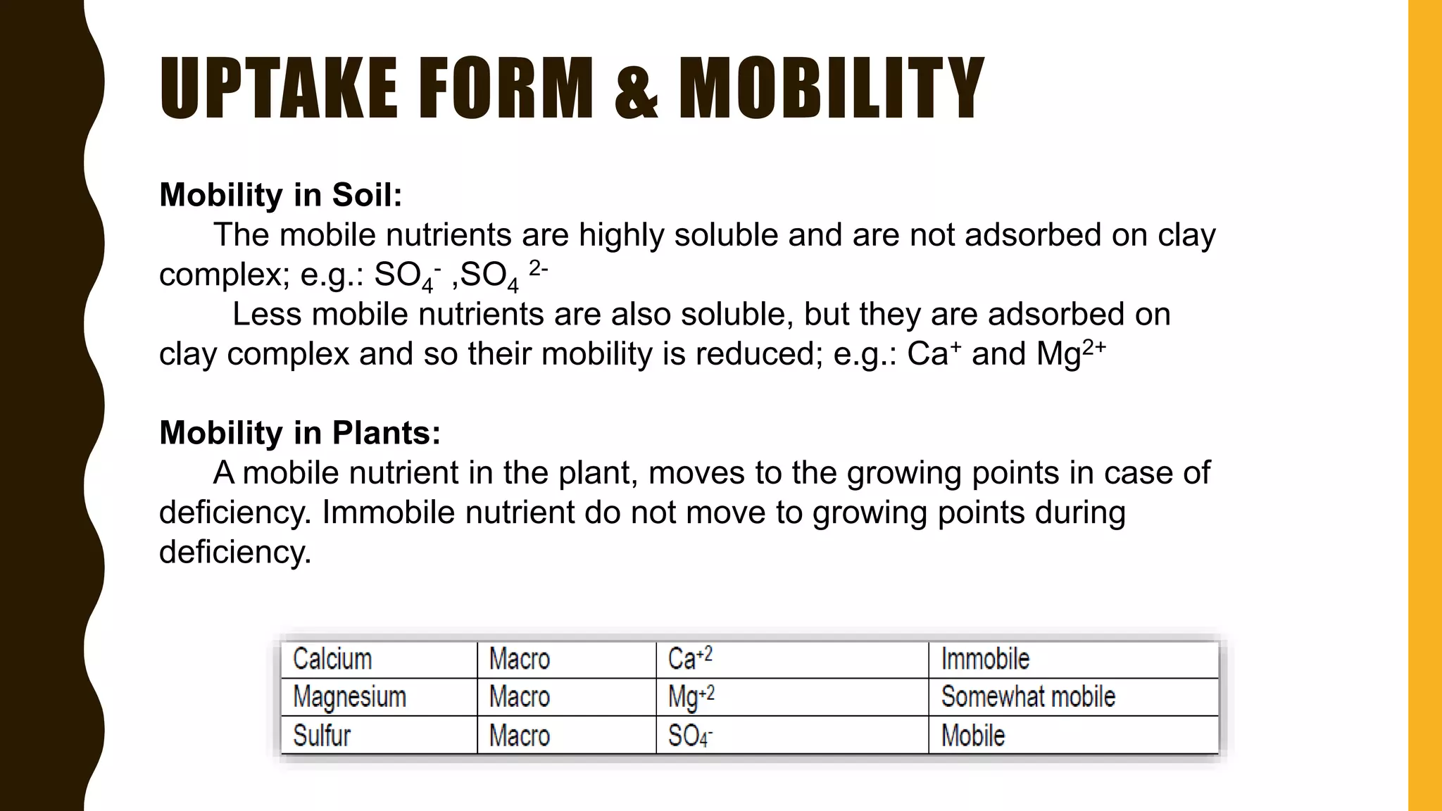 Secondary and micronutrients forms,availability and dynamics | PPTX
