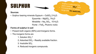 Secondary and micronutrients forms,availability and dynamics | PPTX