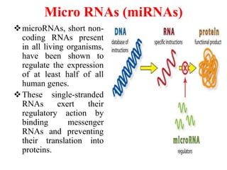 Secondary and tertiary structure of RNA | PPTX