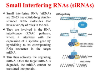 Secondary and tertiary structure of RNA | PPTX