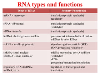 Secondary and tertiary structure of RNA | PPTX
