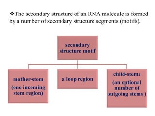 Secondary and tertiary structure of RNA | PPTX