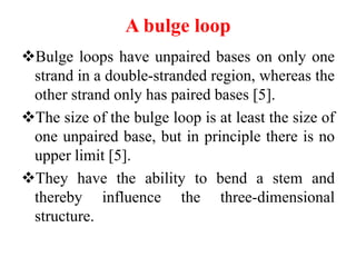 Secondary and tertiary structure of RNA | PPTX