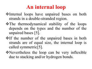 Secondary and tertiary structure of RNA | PPTX