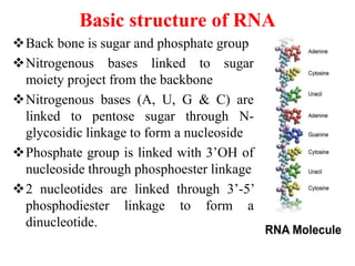 Secondary and tertiary structure of RNA | PPTX