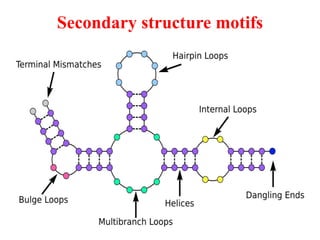 Rna Tertiary Structure