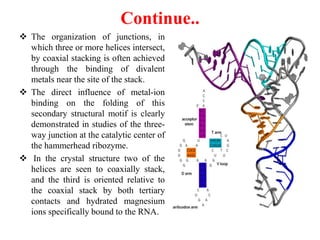 Rna Tertiary Structure