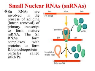 Rna Tertiary Structure