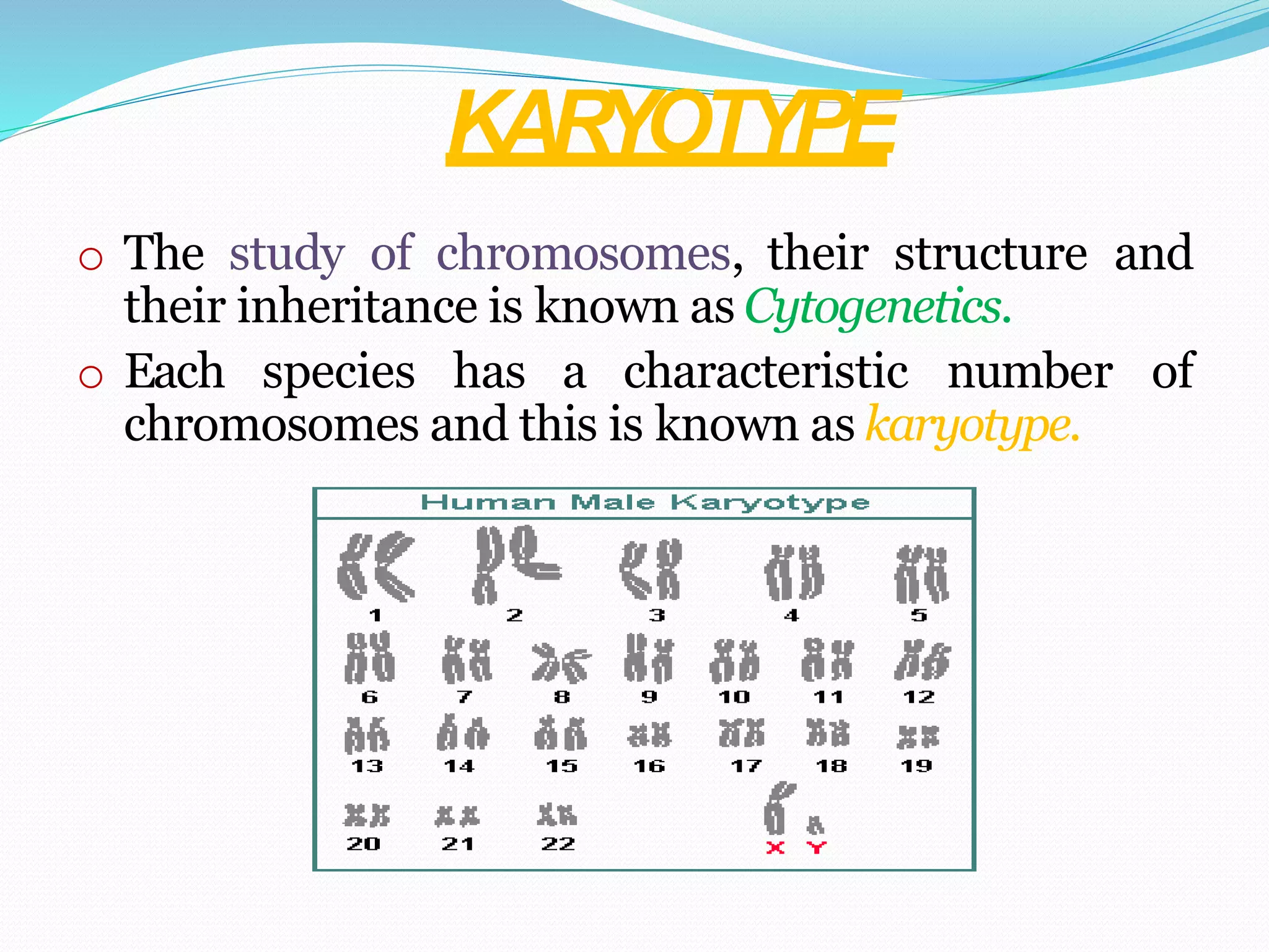 Secondary cell culture | PPTX