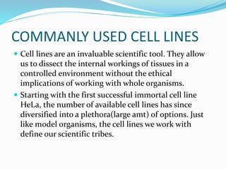 Secondary cell culture | PPTX